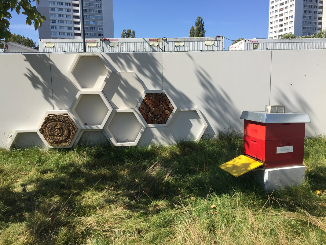 Adopt a Beehive – beekeepers